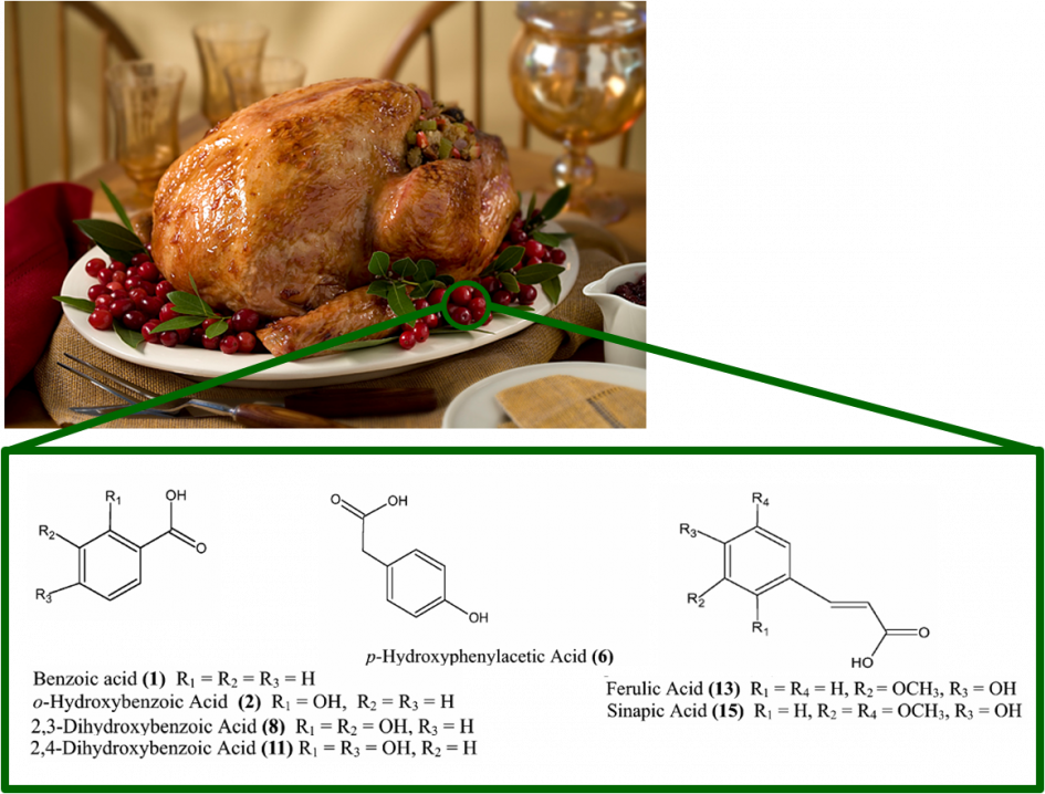Thanksgiving chemistry- cranberries and your blood – Chembites