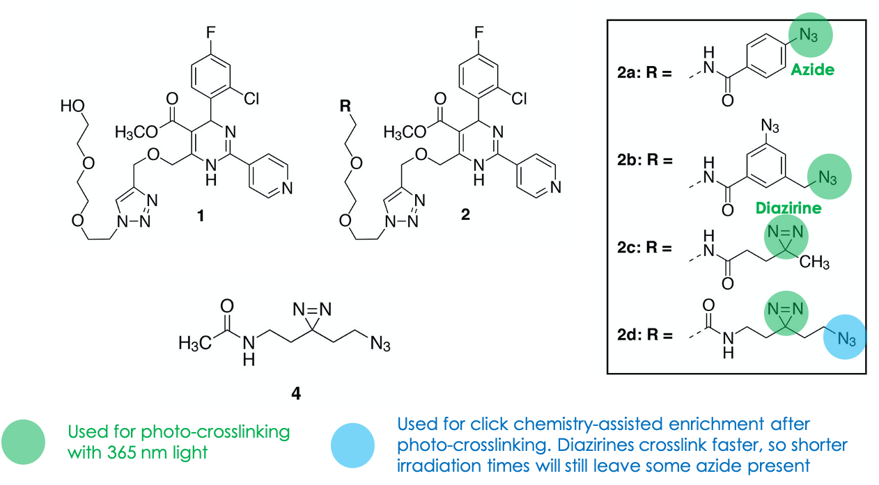 A Bright New Method to Survey RNA-Small Molecule Interactions – Chembites