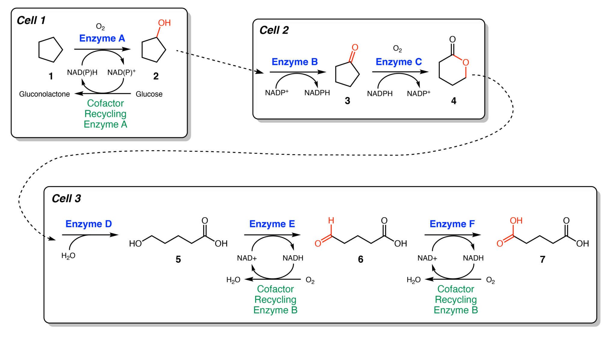 Engineering dicarboxylic acid production – Chembites