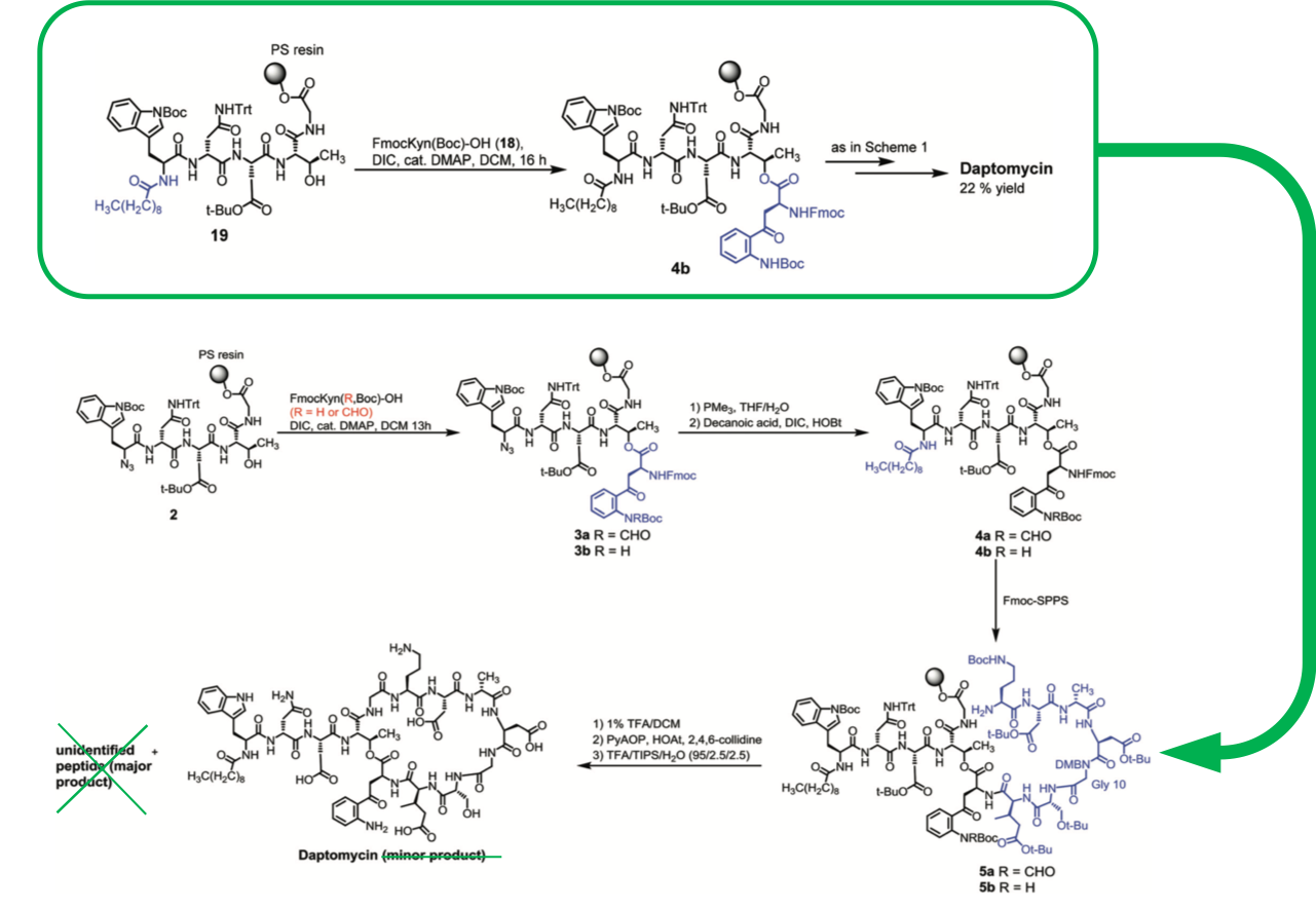 Another side (product) of synthesising antibiotic, daptomycin – Chembites