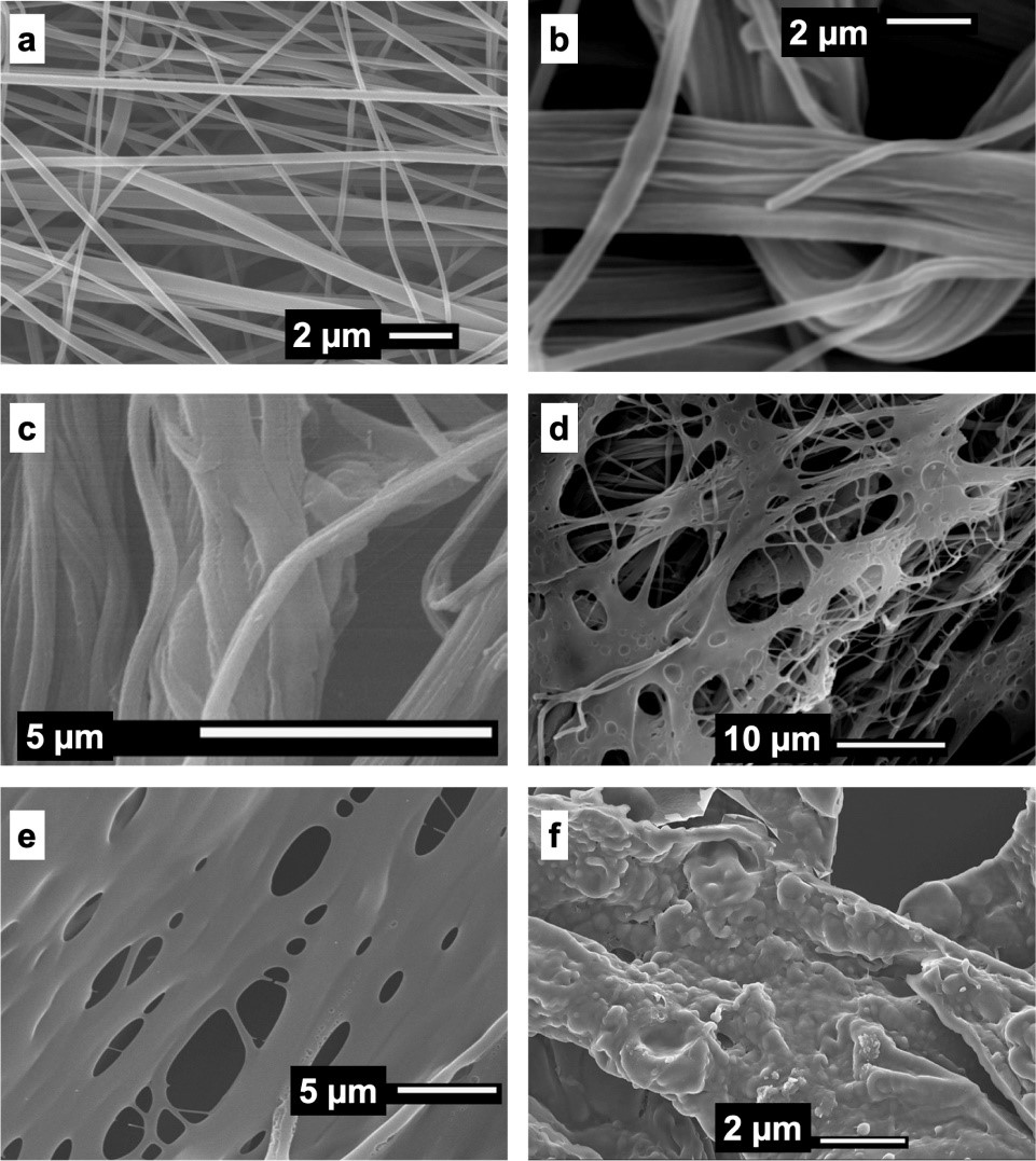 Biosensors from graphene-wrapped nanofibers – Chembites