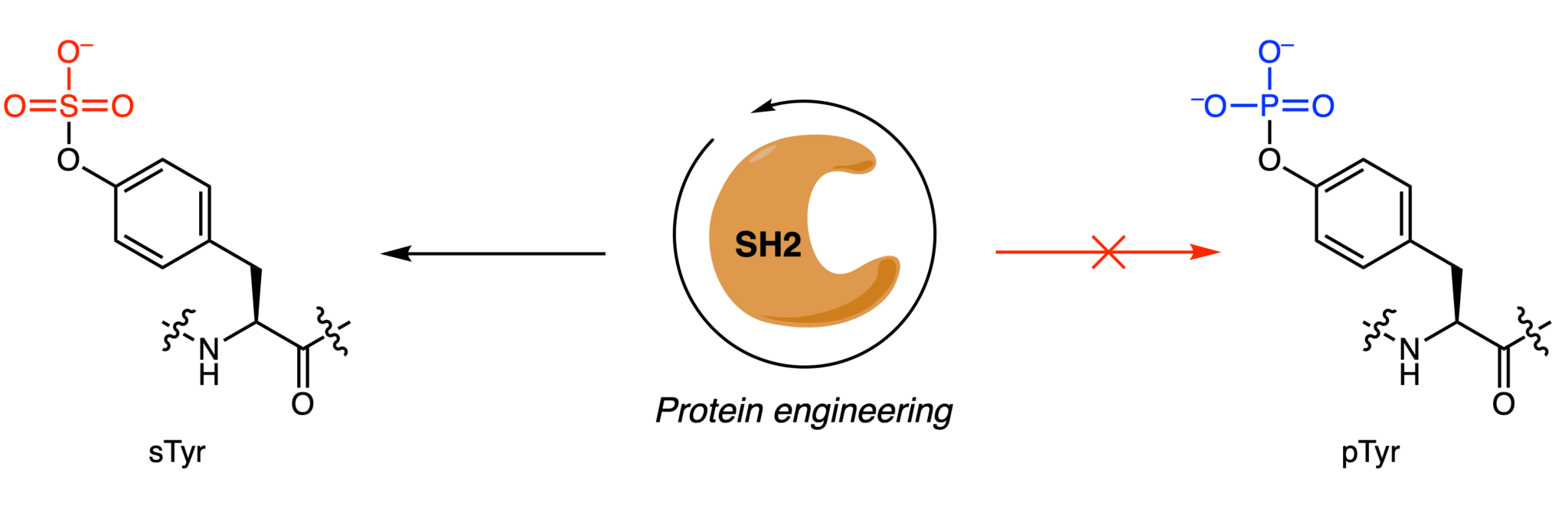 How to distinguish two similar chemical functional groups – Chembites