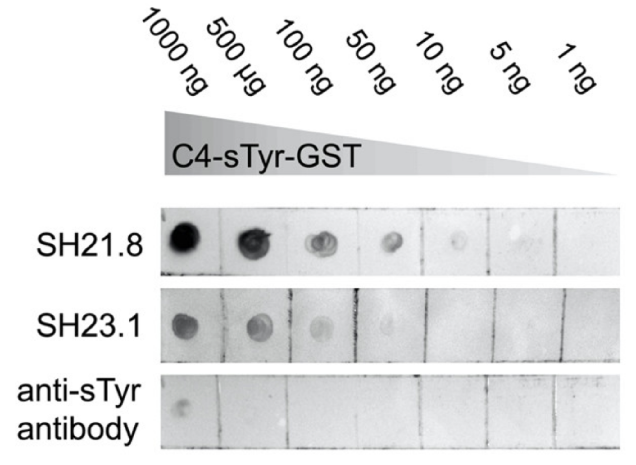 How to distinguish two similar chemical functional groups – Chembites