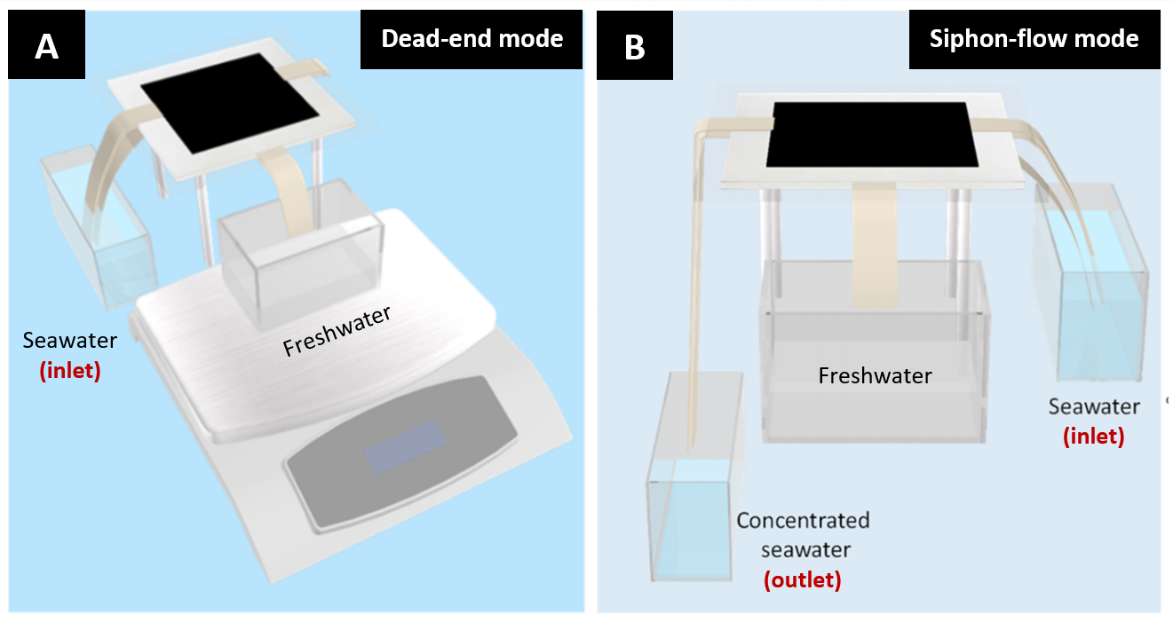 MS-MDD-setup – Chembites