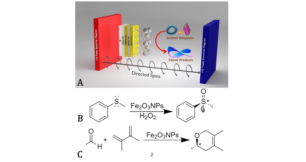 Electron spin selectivity effects can be harvested in asymmetric ...