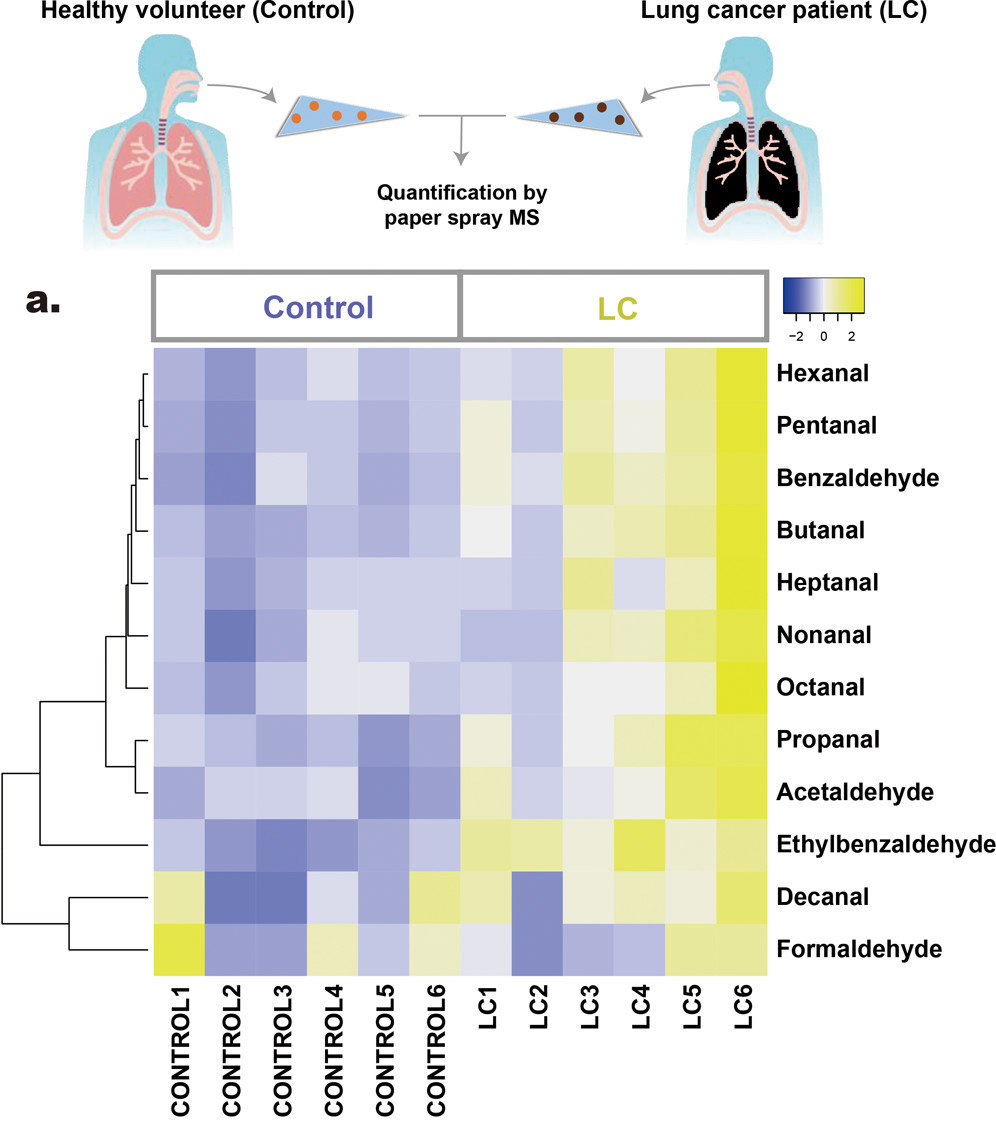 Just Breathe… A Cutting-Edge Method to Diagnose Lung Cancer – Chembites