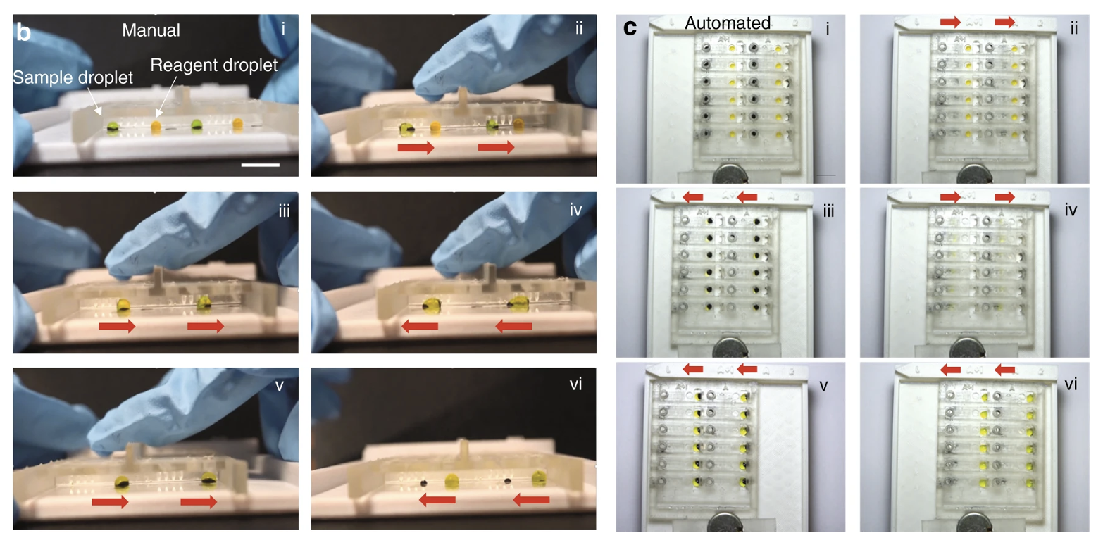 Miniature Device Detects Antibiotic-Resistant Bacteria With Ease ...