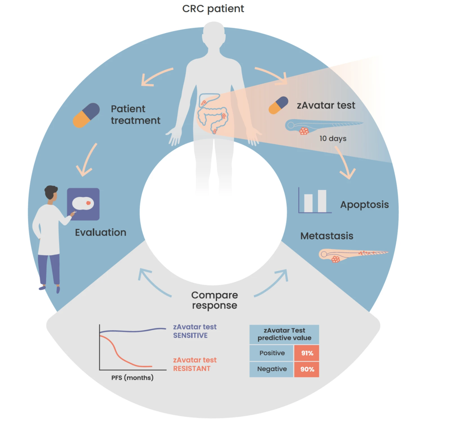 Fishing for Personalized Cancer Treatments – Chembites